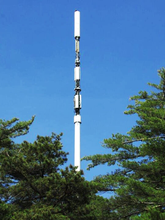 Spine Saver™ - Congruex